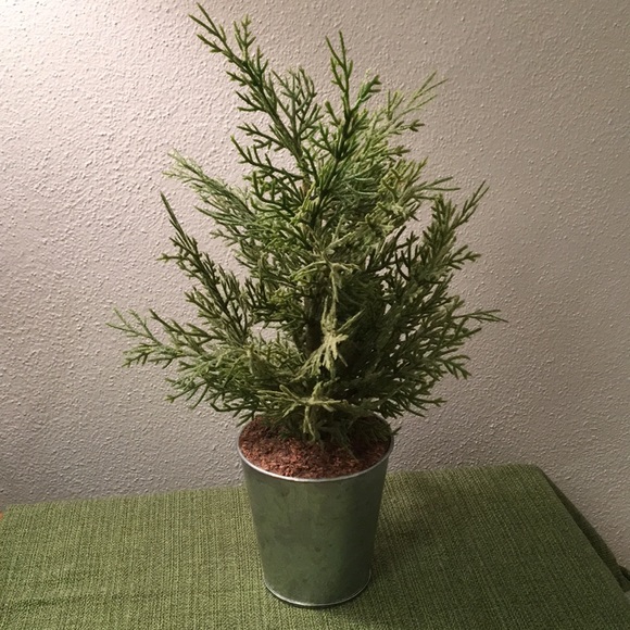 Pottery Barn | Accents | Pottery Barn Faux Potted Juniper Plant ...